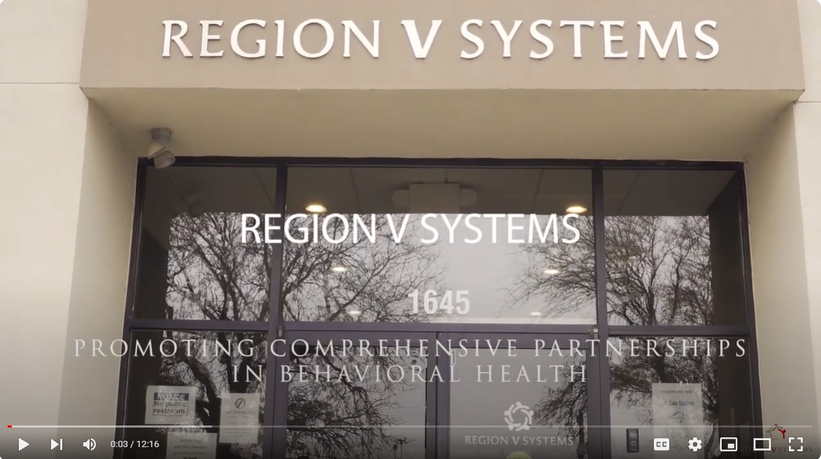 Opioid Project - Region V Systems